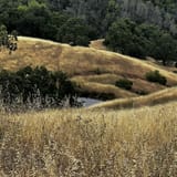 Kelly Lake Loop: Jim Donnelly and Grizzly Gulch Trails, California - 91 ...