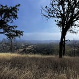 Kelly Lake Loop: Jim Donnelly and Grizzly Gulch Trails, California - 91 ...