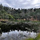 Kelly Lake Loop: Jim Donnelly and Grizzly Gulch Trails, California - 91 ...