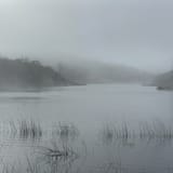 Kelly Lake Loop: Jim Donnelly and Grizzly Gulch Trails, California - 91 ...