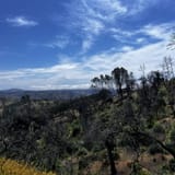 Kelly Lake Loop: Jim Donnelly and Grizzly Gulch Trails, California - 91 ...