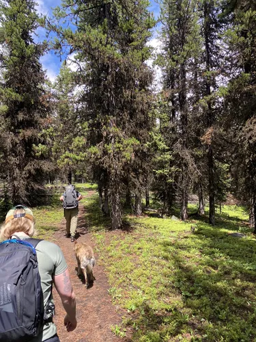 Best Hikes and Trails in Brent Mountain Protected Area | AllTrails