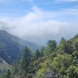 Holy Jim Canyon Trail, California - 409 Reviews, Map | AllTrails