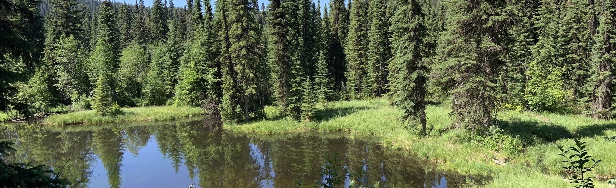 AllTrails | Blackwater Canyon and Pack Trail Loop: 7 Reviews, Map ...