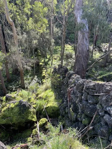 2023 Best Trails, Walks, and Paths in Macarthur | AllTrails