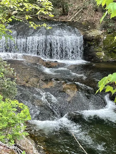 10 Best Hikes and Trails in Cohutta Wildlife Management Area | AllTrails