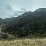 Illawong Walk, New South Wales, Australia - 330 Reviews, Map | AllTrails