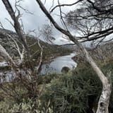 Illawong Walk, New South Wales, Australia - 330 Reviews, Map | AllTrails