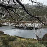 Illawong Walk, New South Wales, Australia - 330 Reviews, Map | AllTrails