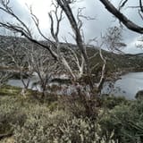 Illawong Walk, New South Wales, Australia - 330 Reviews, Map | AllTrails