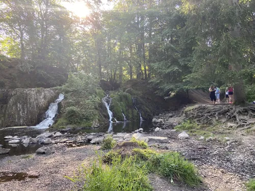 Forêt communale de Hirson: de beste routes om te wandelen | AllTrails