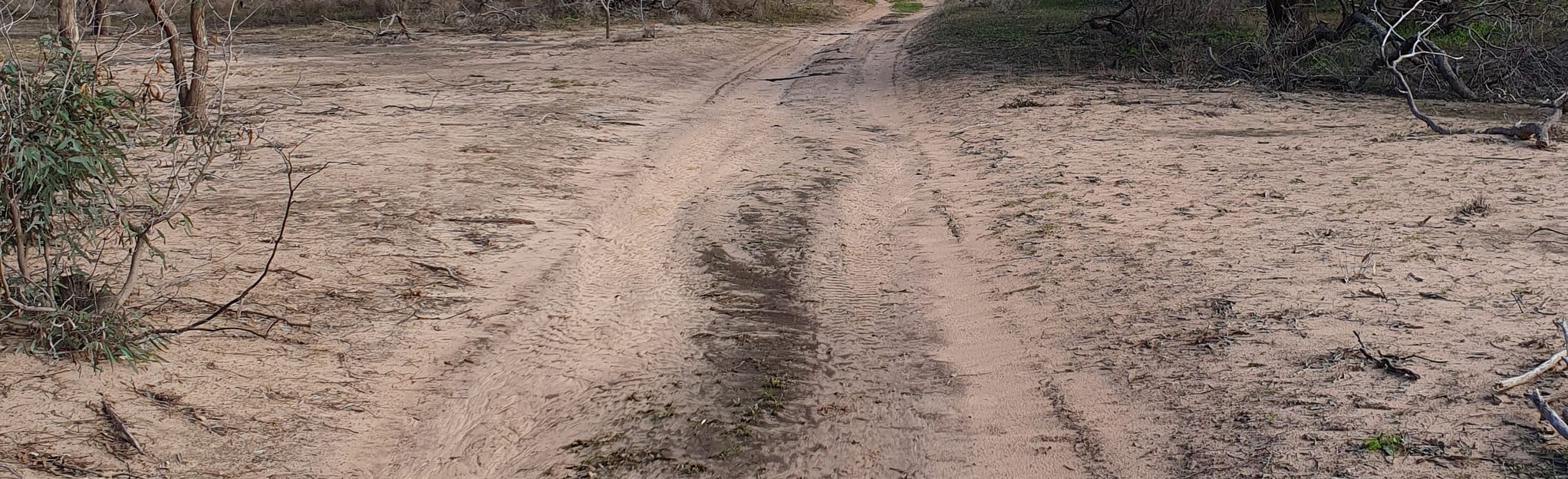 Hattah Lake Nip Nip Track: 2 Reviews, Map - Victoria, Australia | AllTrails
