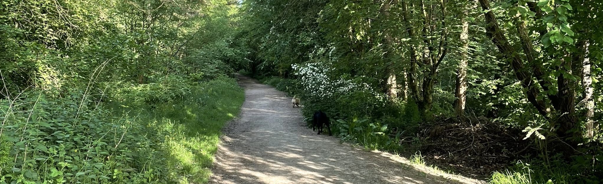 Chevin Forest Park Circular, West Yorkshire, England - 53 Reviews, Map ...