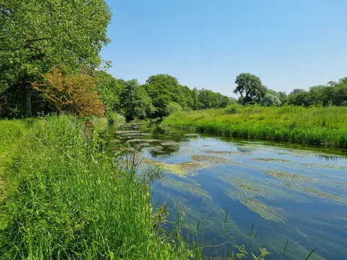 2023 Best 10 Trails, Walks, and Paths in Thetford | AllTrails