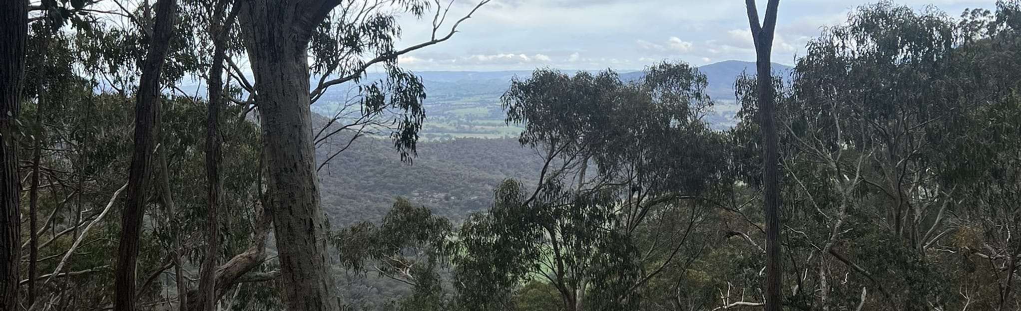 Back Creek Falls, Victoria, Australia - 3 Reviews, Map | AllTrails