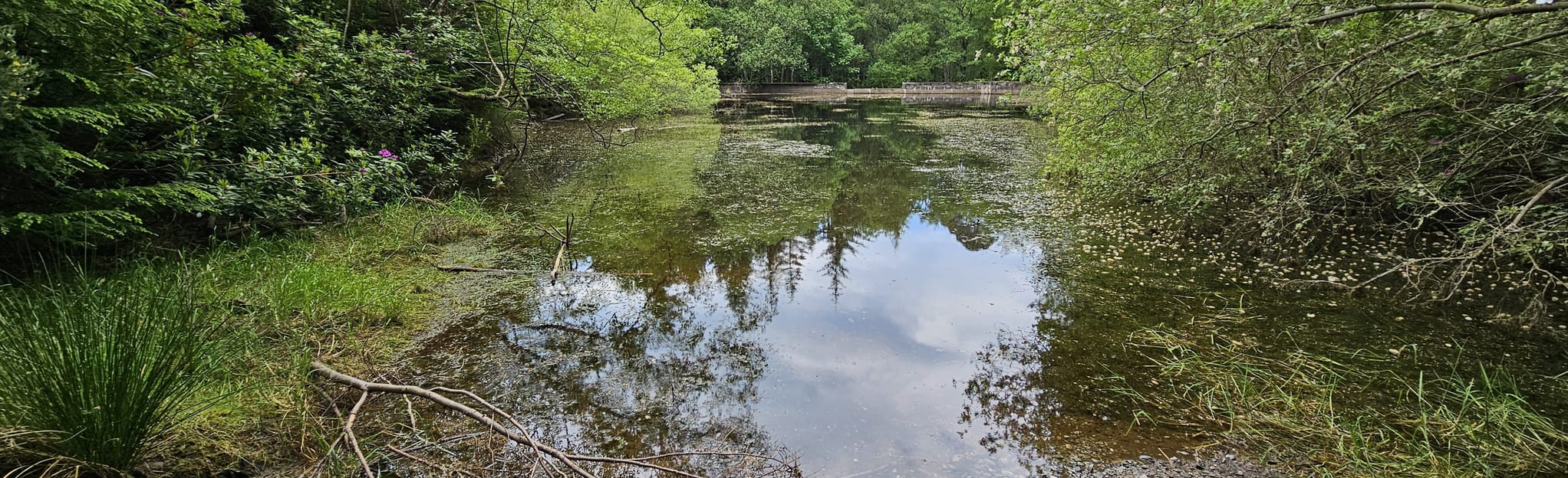 Moray Monster Trail Loop: 29 Reviews, Map - Moray, Scotland | AllTrails