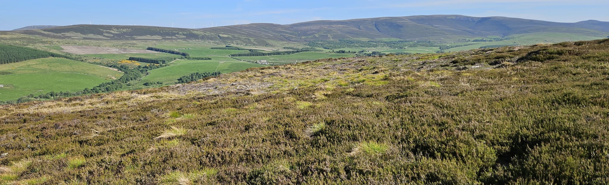 Ben Rinnes: 138 Reviews, Map - Moray, Scotland | AllTrails