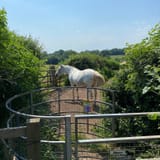 Coundon Wedge Circular, West Midlands, England - 235 Reviews, Map ...