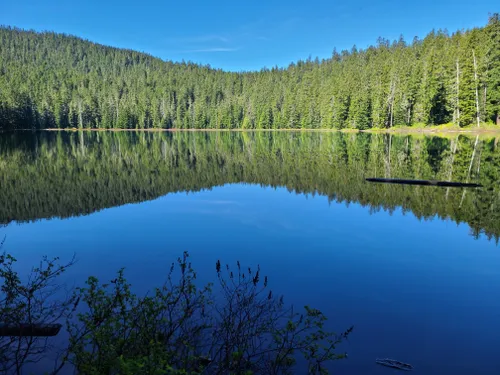 10 Best Snowshoeing Trails in Mount Hood National Forest | AllTrails