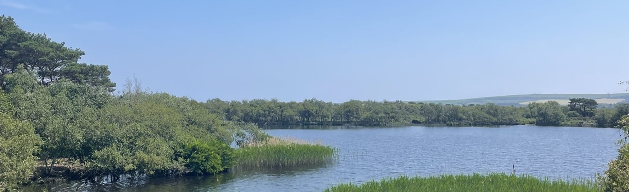 Studland and the Purbecks: 697 foto's - Dorset, Engeland | Wandelen ...