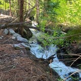 Eagle Ridge Trail, Nevada - 641 Reviews, Map | AllTrails