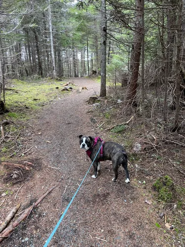 Best Hikes and Trails in Peter Barry Duff Memorial Park | AllTrails