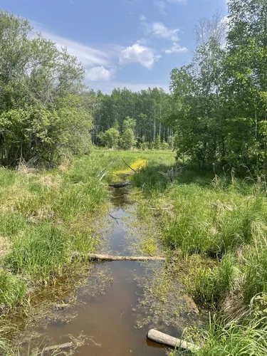 10 Best Snowshoeing Trails in Cooking Lake/Blackfoot Provincial ...