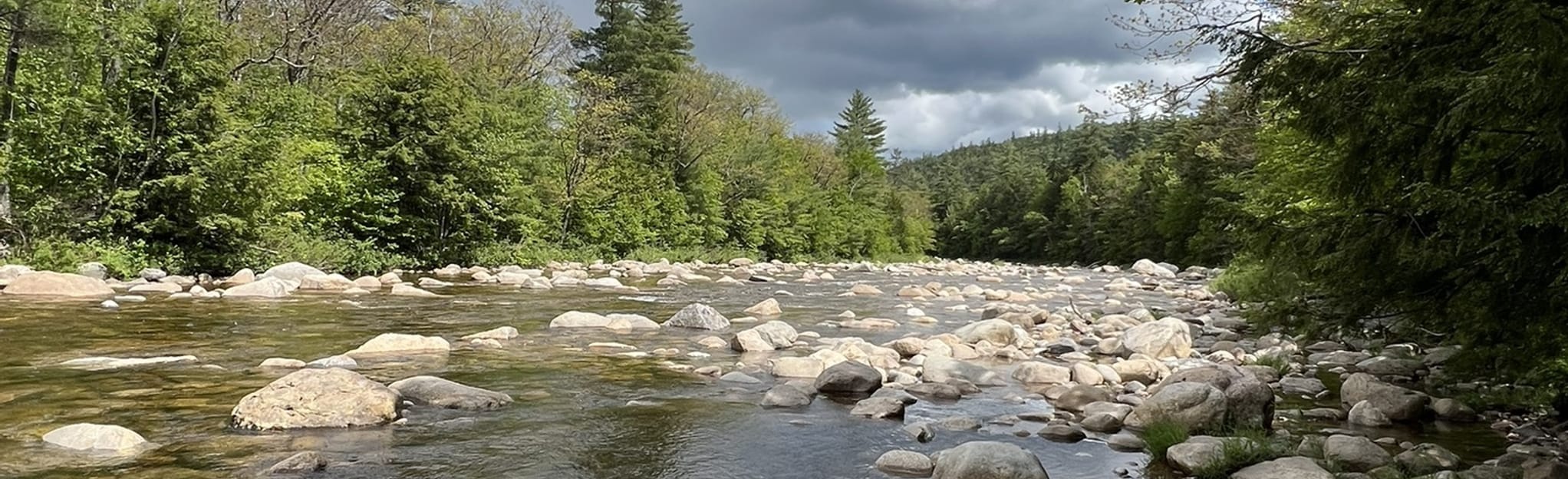 Swift River Lower Falls: 147 Reviews, Map - New Hampshire | AllTrails