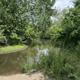 Fullersburg and Graue Mill Loop Trail, Illinois - 913 Reviews, Map ...