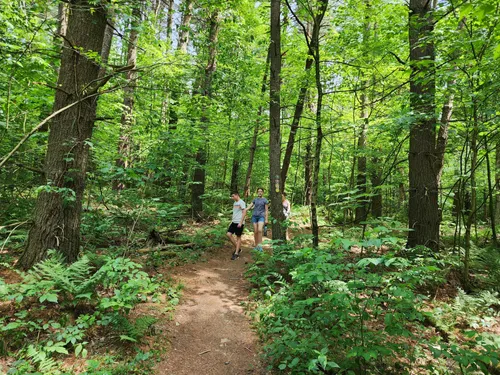 Best Hikes and Trails in Bear Run Nature Reserve | AllTrails