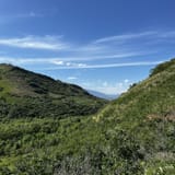 Red Butte Canyon Overlook, Utah - 343 Reviews, Map | AllTrails