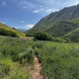 Red Butte Canyon Overlook, Utah - 343 Reviews, Map | AllTrails