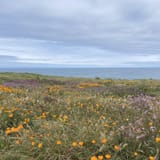 Point Buchon Trail, California - 530 Reviews, Map | AllTrails