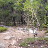 Bunce School Road, Colorado - 153 Reviews, Map | AllTrails