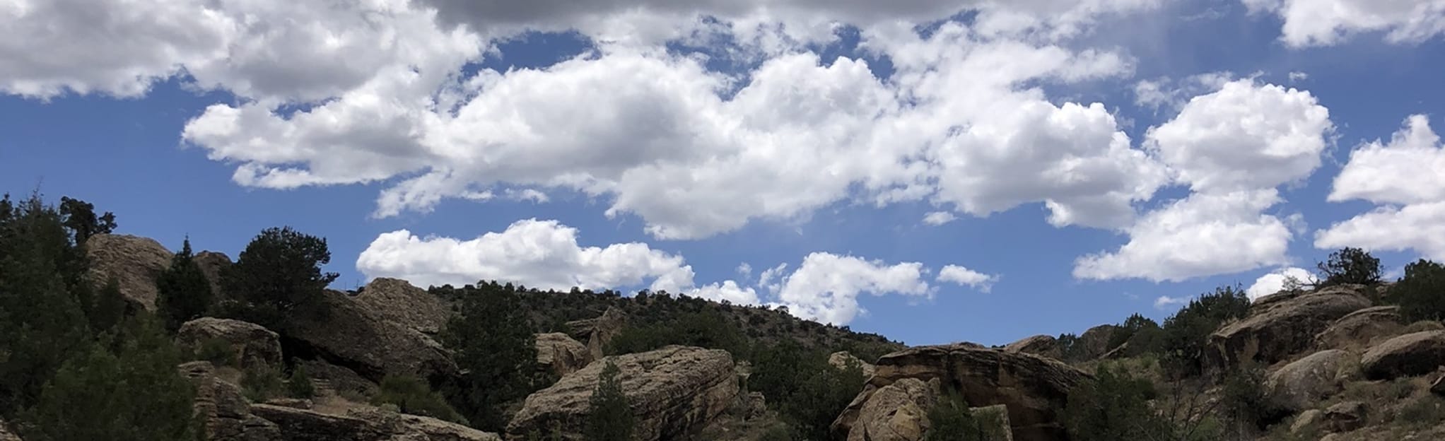 Lunch Loops, Colorado - 146 Reviews, Map | AllTrails