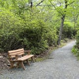 Limberlost Trail, Virginia - 750 Reviews, Map | AllTrails