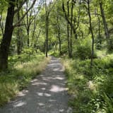Limberlost Trail, Virginia - 750 Reviews, Map | AllTrails