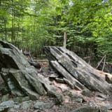 Limberlost Trail, Virginia - 750 Reviews, Map | AllTrails
