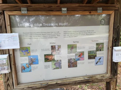 Best Hikes and Trails in Caravelle Ranch Wildlife Management Area ...