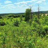 Dundee Summit Nature Trail, Wisconsin - 119 Reviews, Map | AllTrails