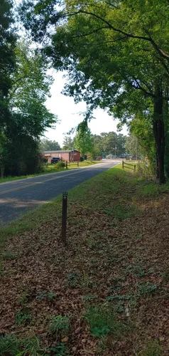 2023 Best Lake Trails in Pinewood | AllTrails