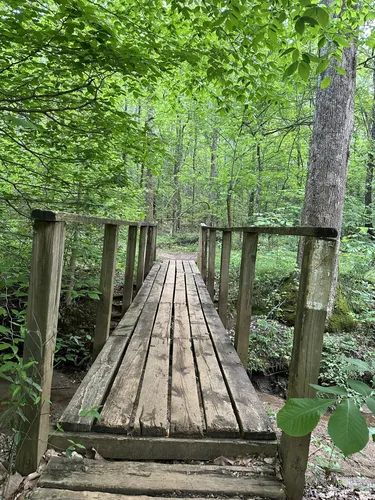 10 Best Hikes and Trails in Clemson Experimental Forest | AllTrails