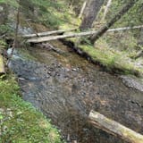 Little Harbor Brook Trail, Maine - 166 Reviews, Map | AllTrails