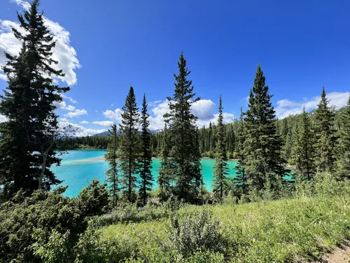 Best Hikes and Trails in Tā Ch’ilā Provincial Park (Boya Lake) | AllTrails