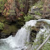 Cedar Falls Trail, Washington - 309 Reviews, Map | AllTrails