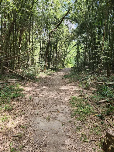 Best Hikes and Trails in Frenchtown Conservation Area | AllTrails