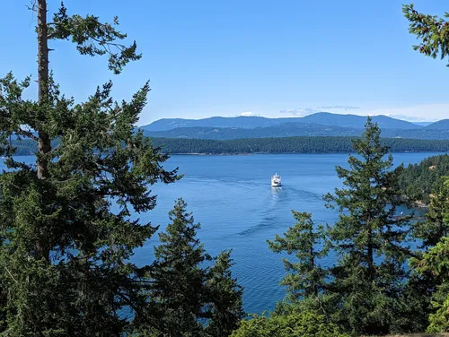 Best Hikes and Trails in Matthews Point Regional Park | AllTrails