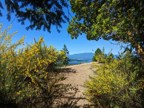 10 Best Trails and Hikes in Galiano Island Trust Area | AllTrails