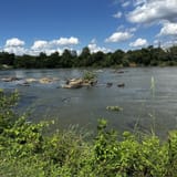 Three Rivers Greenway Trail, South Carolina - 445 Reviews, Map | AllTrails