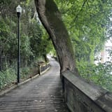 Three Rivers Greenway Trail, South Carolina - 445 Reviews, Map | AllTrails